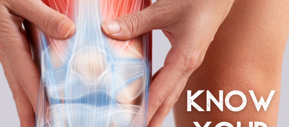 Know Your Knees! - Quick Understanding of the Anatomy of the Knee ...